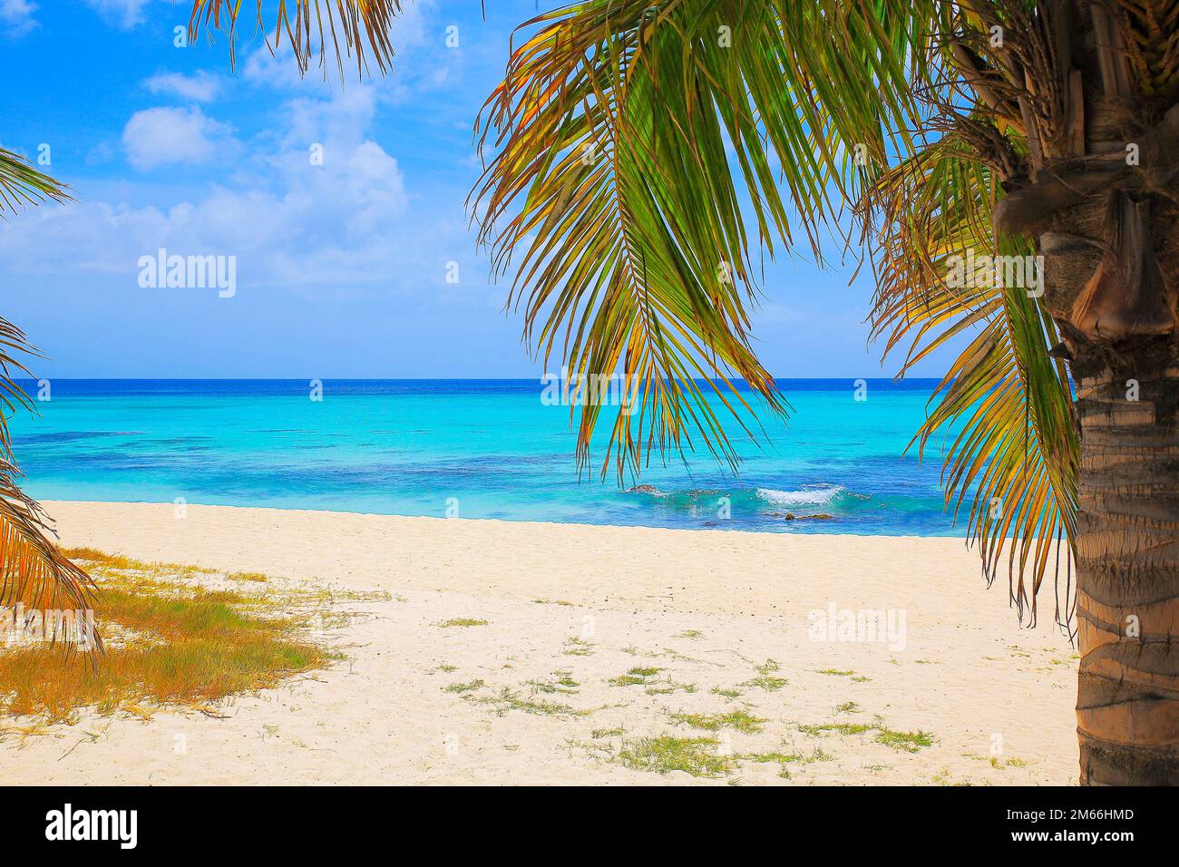 Secluded turquoise beach in Aruba, Caribbean Blue sea, Duth Antilles ...