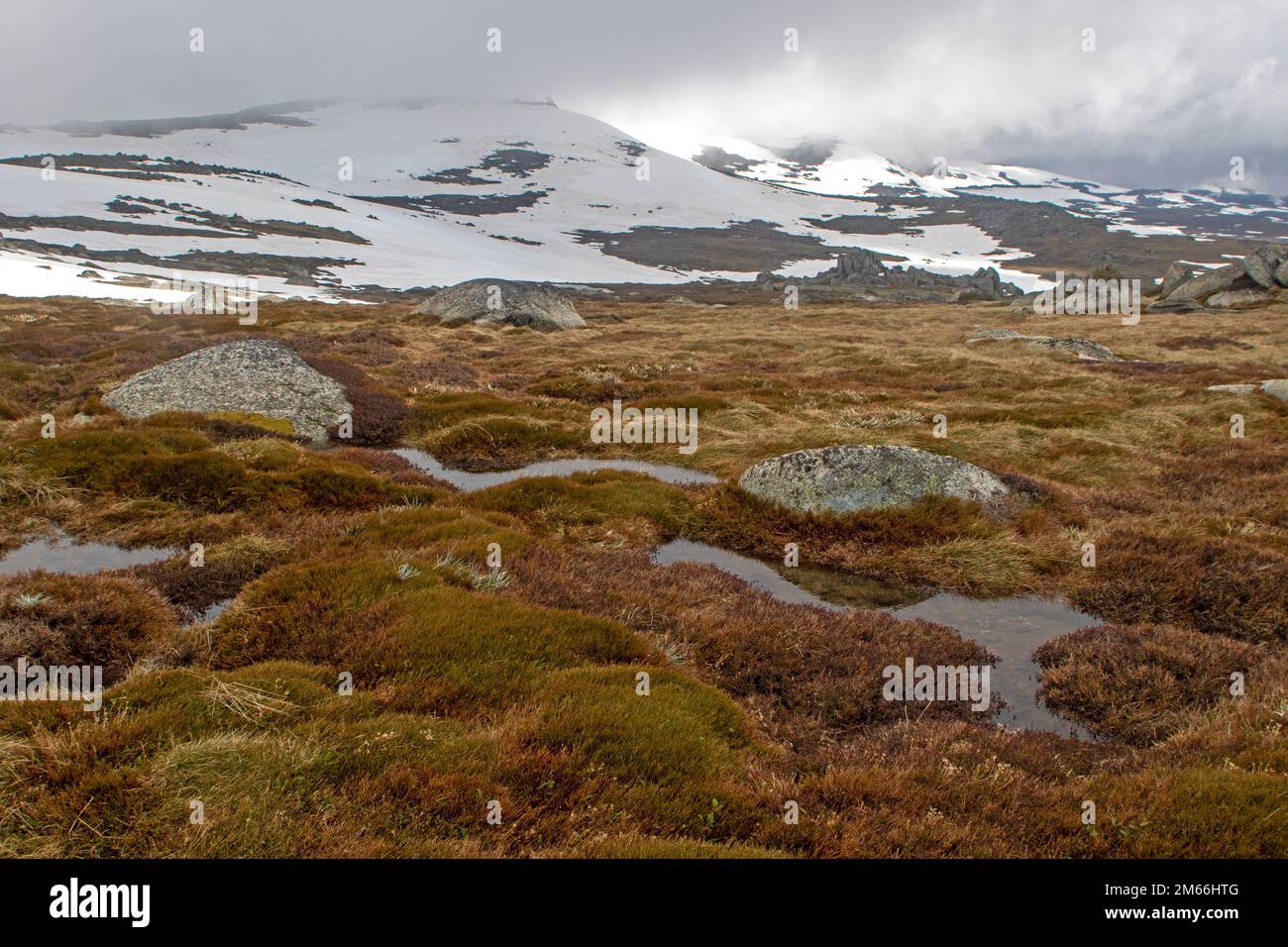 Melting snow patches in the Snowy Mountains Stock Photo - Alamy