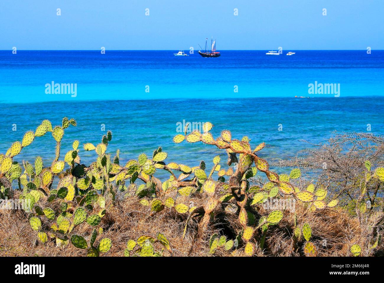Secluded turquoise beach in Aruba, Caribbean Blue sea, Duth Antilles ...