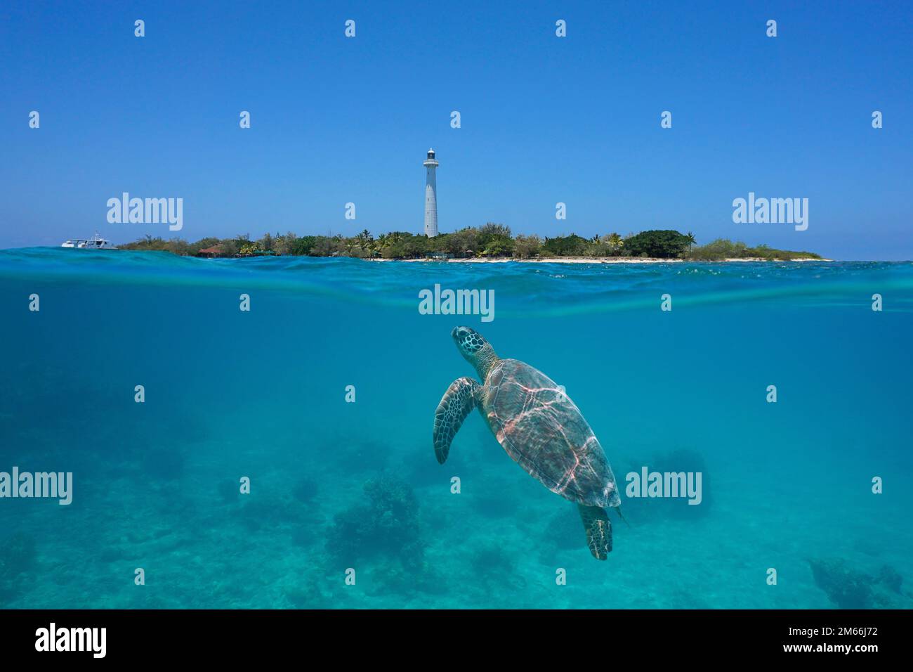 Island with a lighthouse and a sea turtle underwater, split level view ...