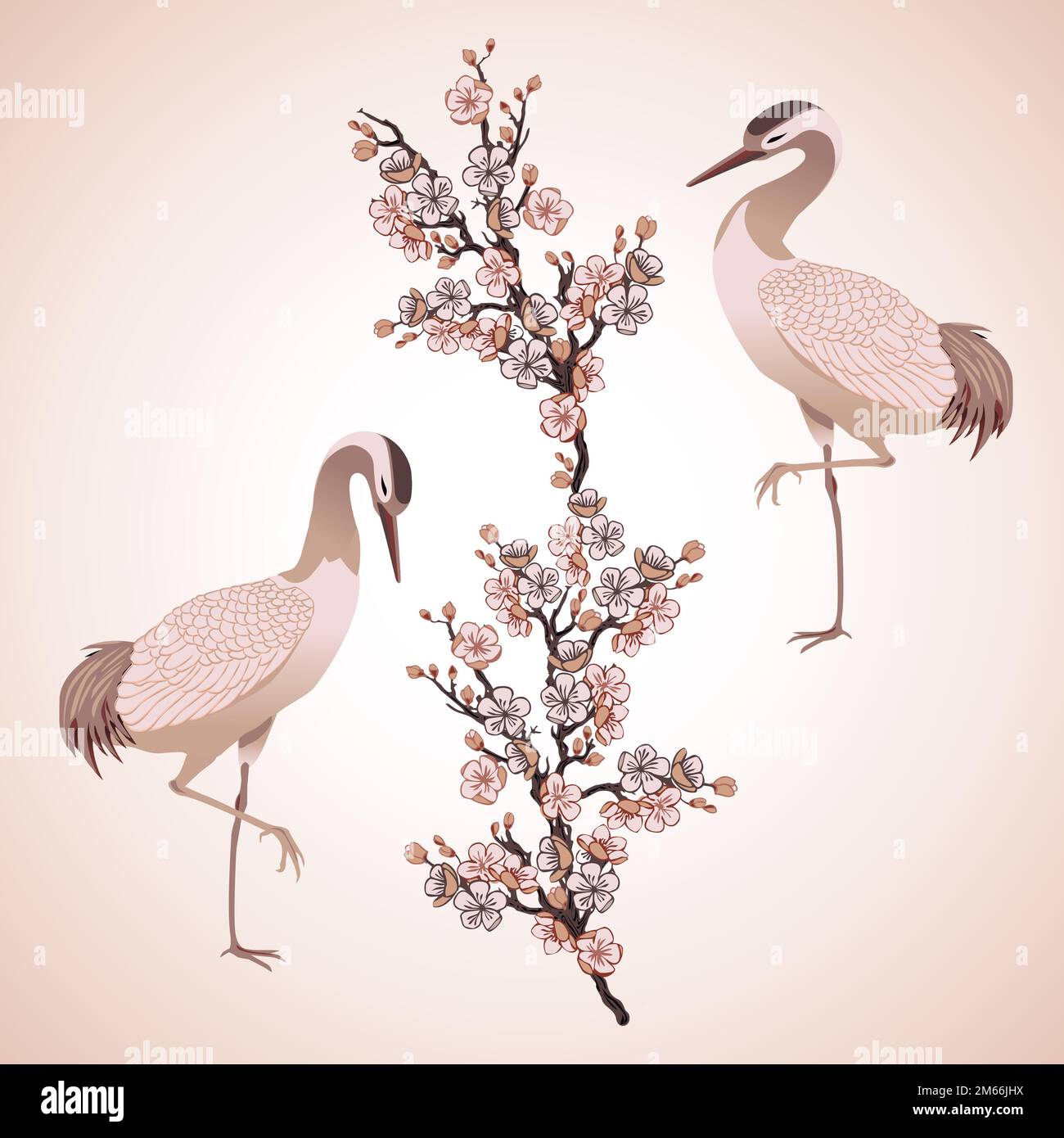 Bird cherry texture Stock Vector Images - Alamy