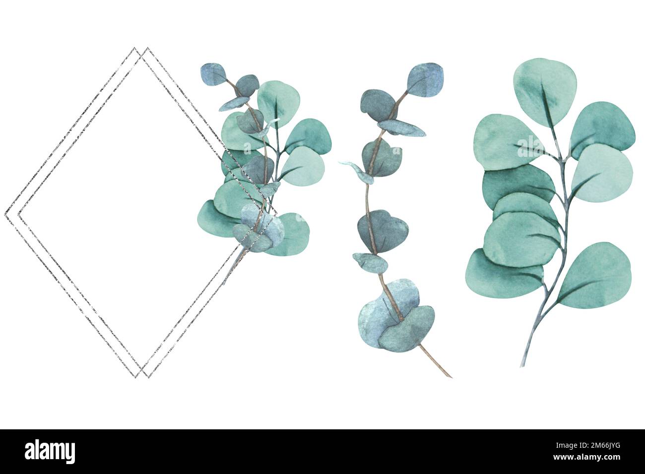 Hand painted watercolor illustration of green eucalyptus frame with ...