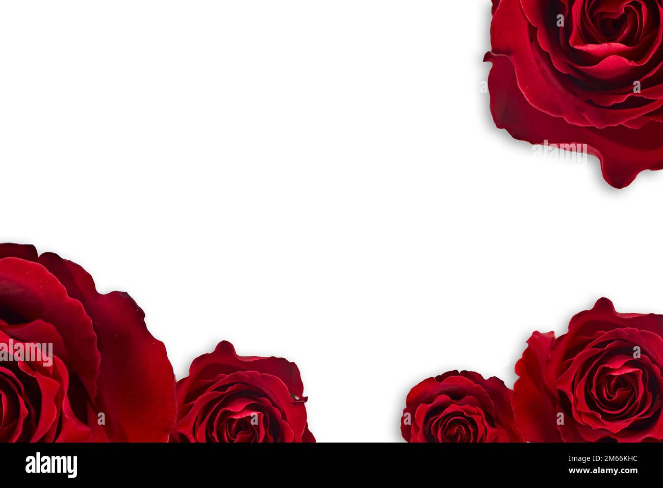 Valentine's Day. Flowers composition. Round frame made of rose flowers ...