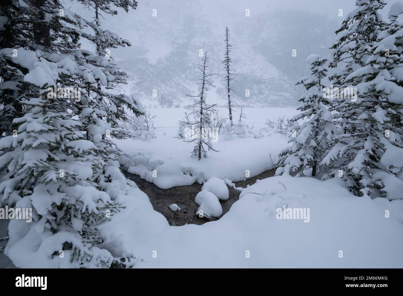 Mid-winter scenes at Lake Louise, Banff National Park. Alberta, Canada ...