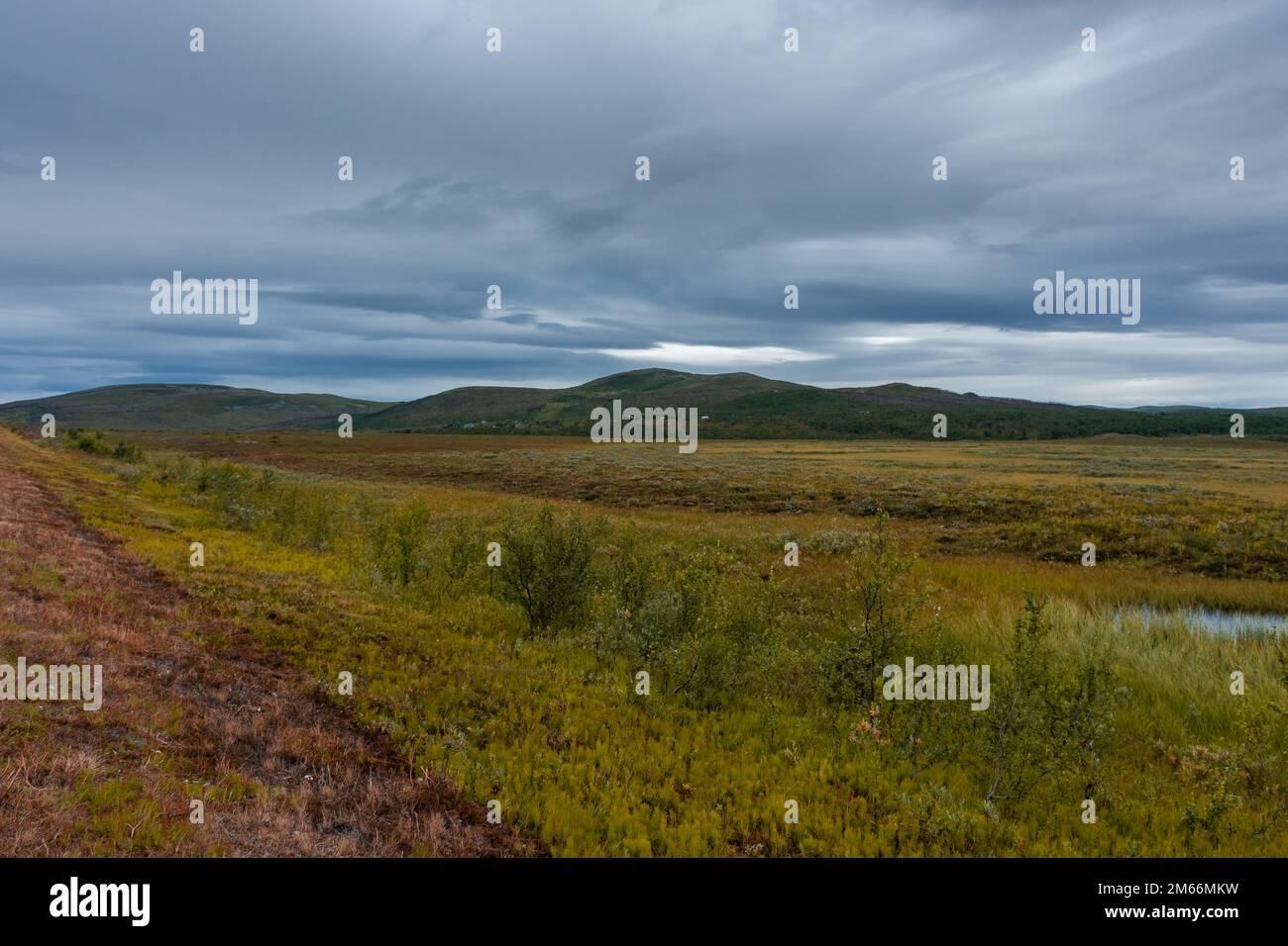 Landscape of the tundra in northern Norway Stock Photo - Alamy