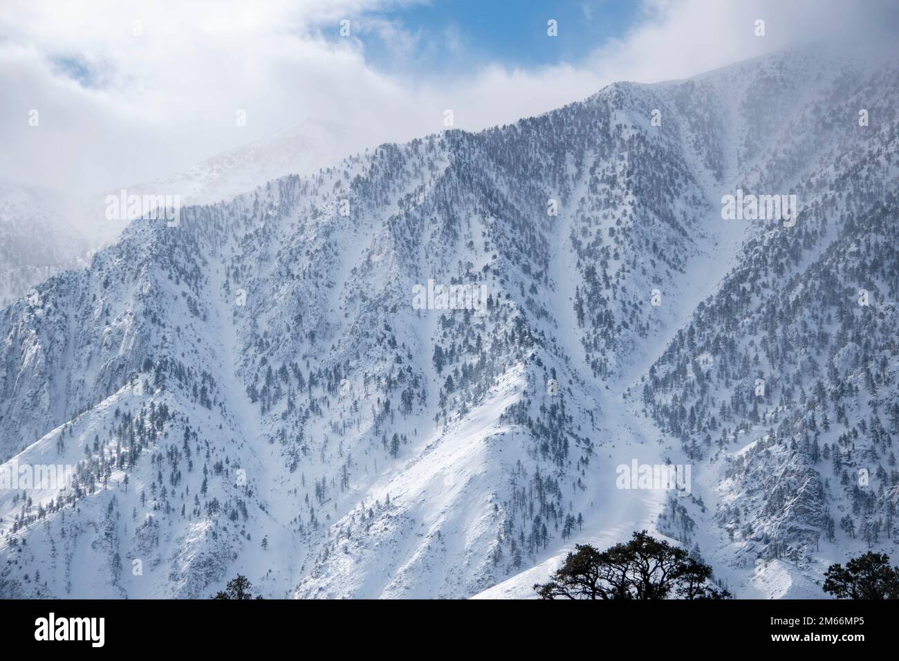 Winter snow really transforms the Eastern Sierra around Sherwin Grade ...