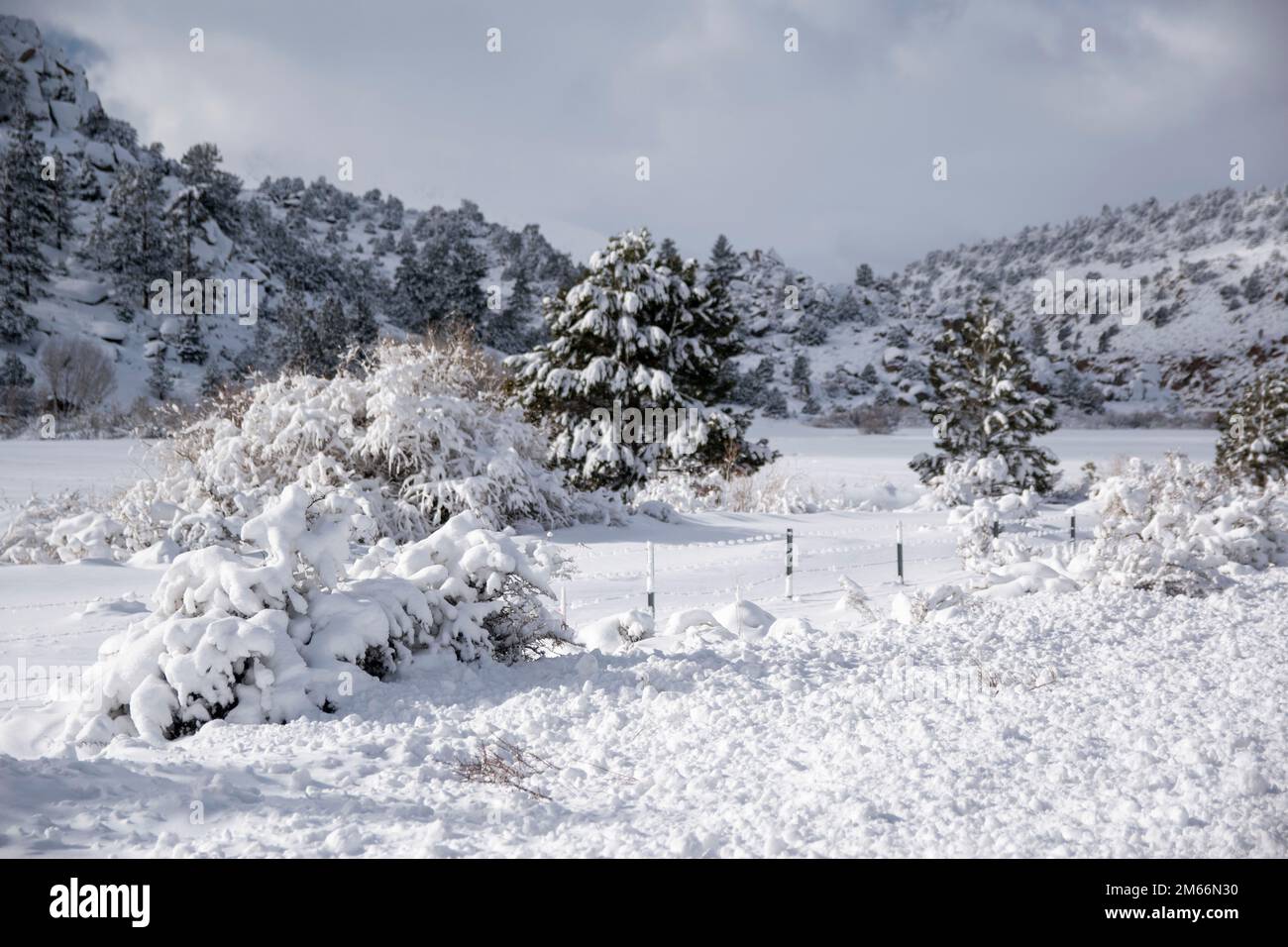 Winter snow really transforms the Eastern Sierra around Sherwin Grade ...
