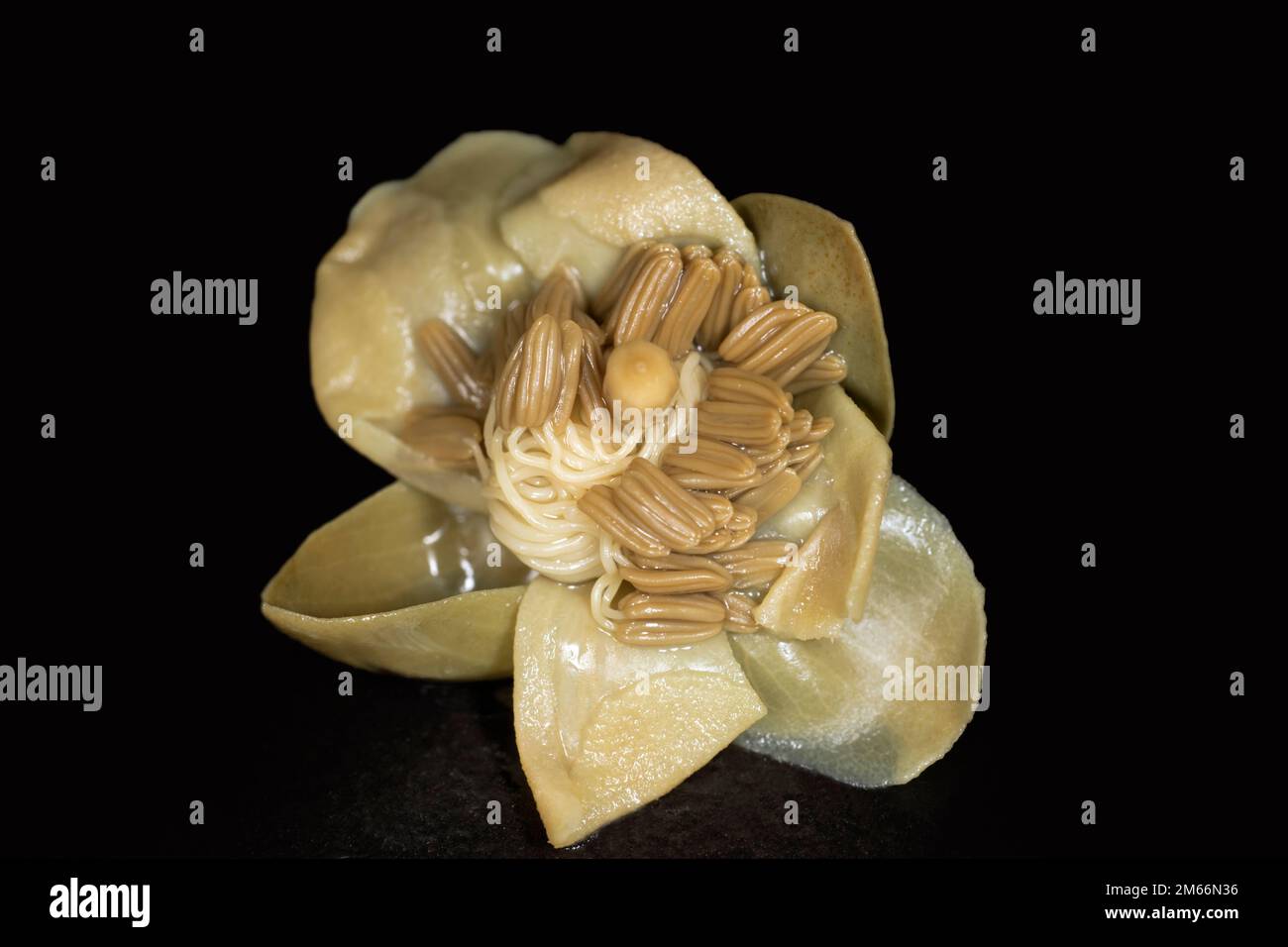 Behbahan county hi-res stock photography and images - Alamy