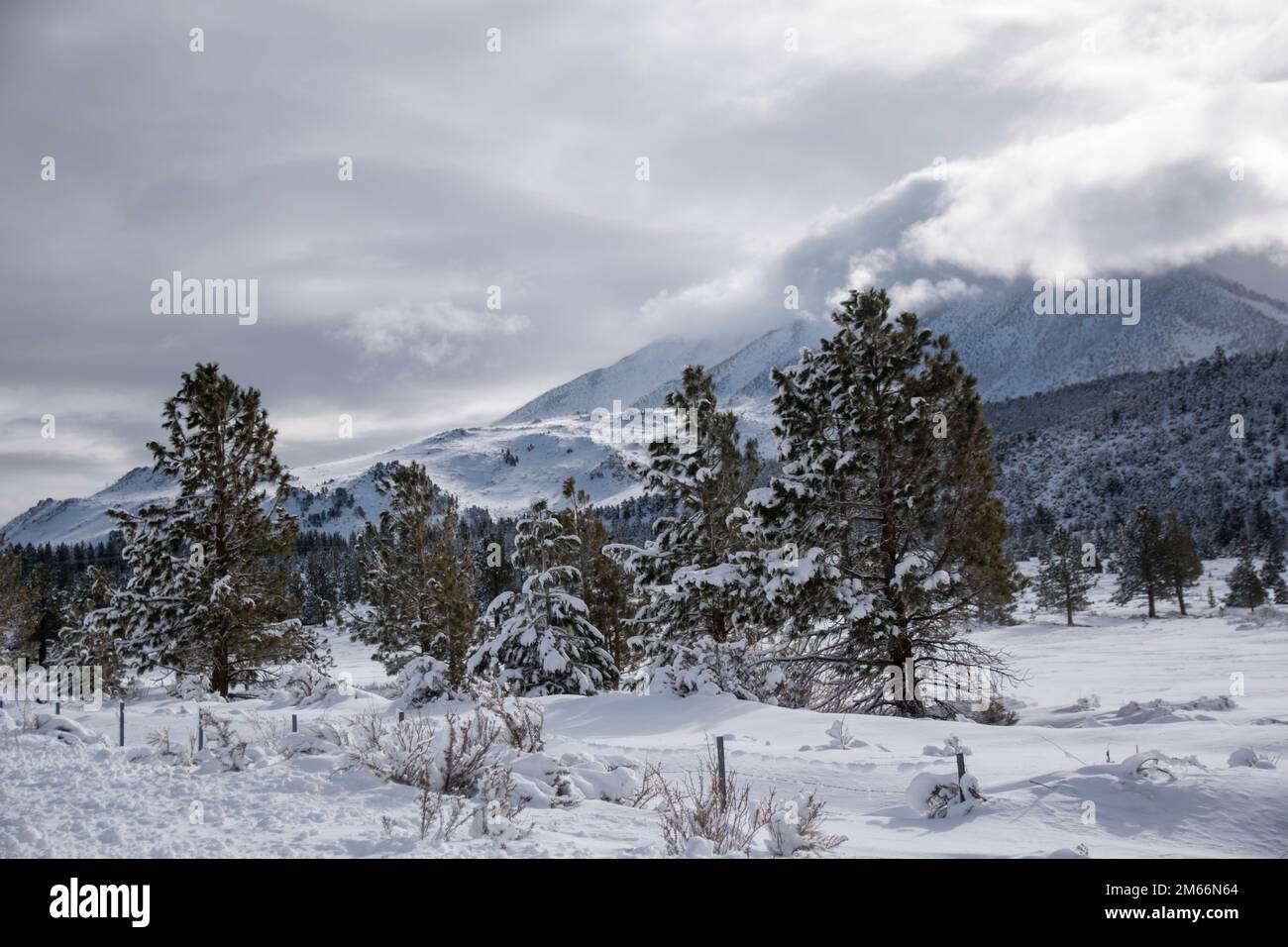 Winter snow really transforms the Eastern Sierra around Sherwin Grade ...