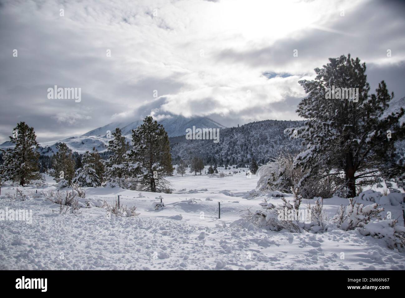 Winter snow really transforms the Eastern Sierra around Sherwin Grade ...