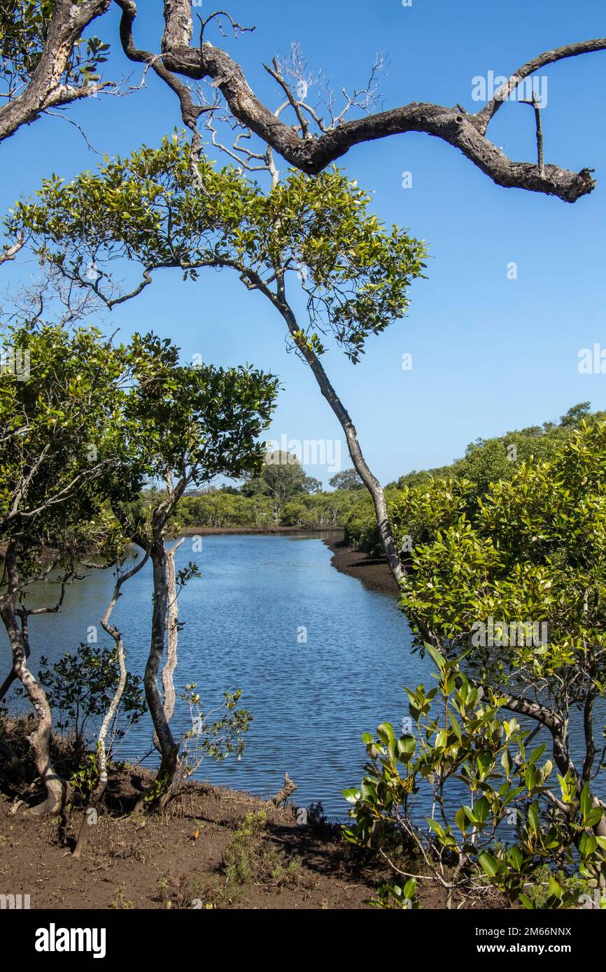 Nudgee queensland hi-res stock photography and images - Alamy