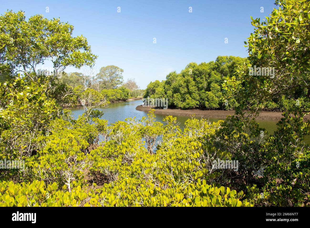 Nudgee hi-res stock photography and images - Alamy