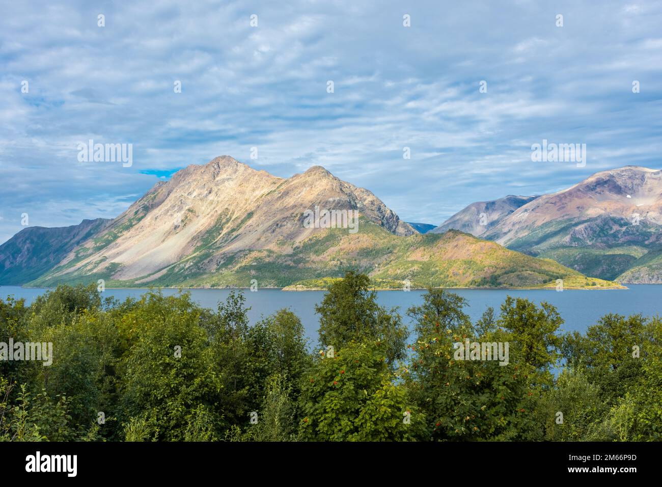 Landscape of Senja Island, Norway Stock Photo - Alamy