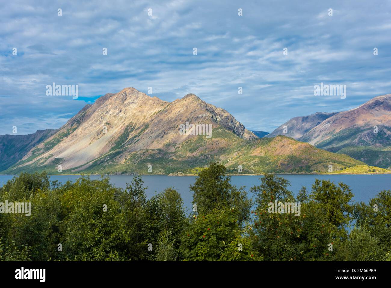 Landscape of Senja Island, Norway Stock Photo - Alamy