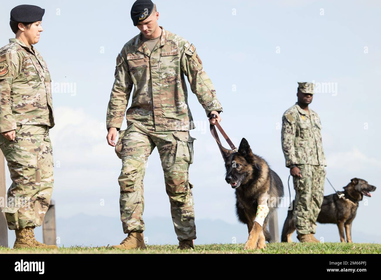 U.S. Air Force Staff Sgt. Tyler Parrish, 647th Security Forces Squadron military working dog ...