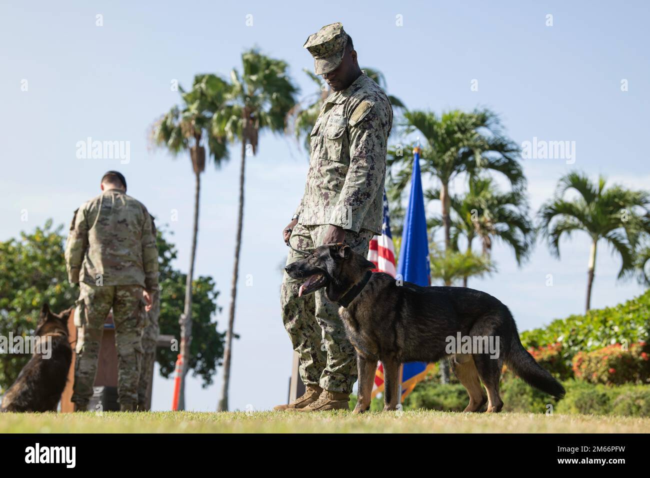 U.S. Navy Master-At-Arms Second Class Steven Green, USN canine handler ...