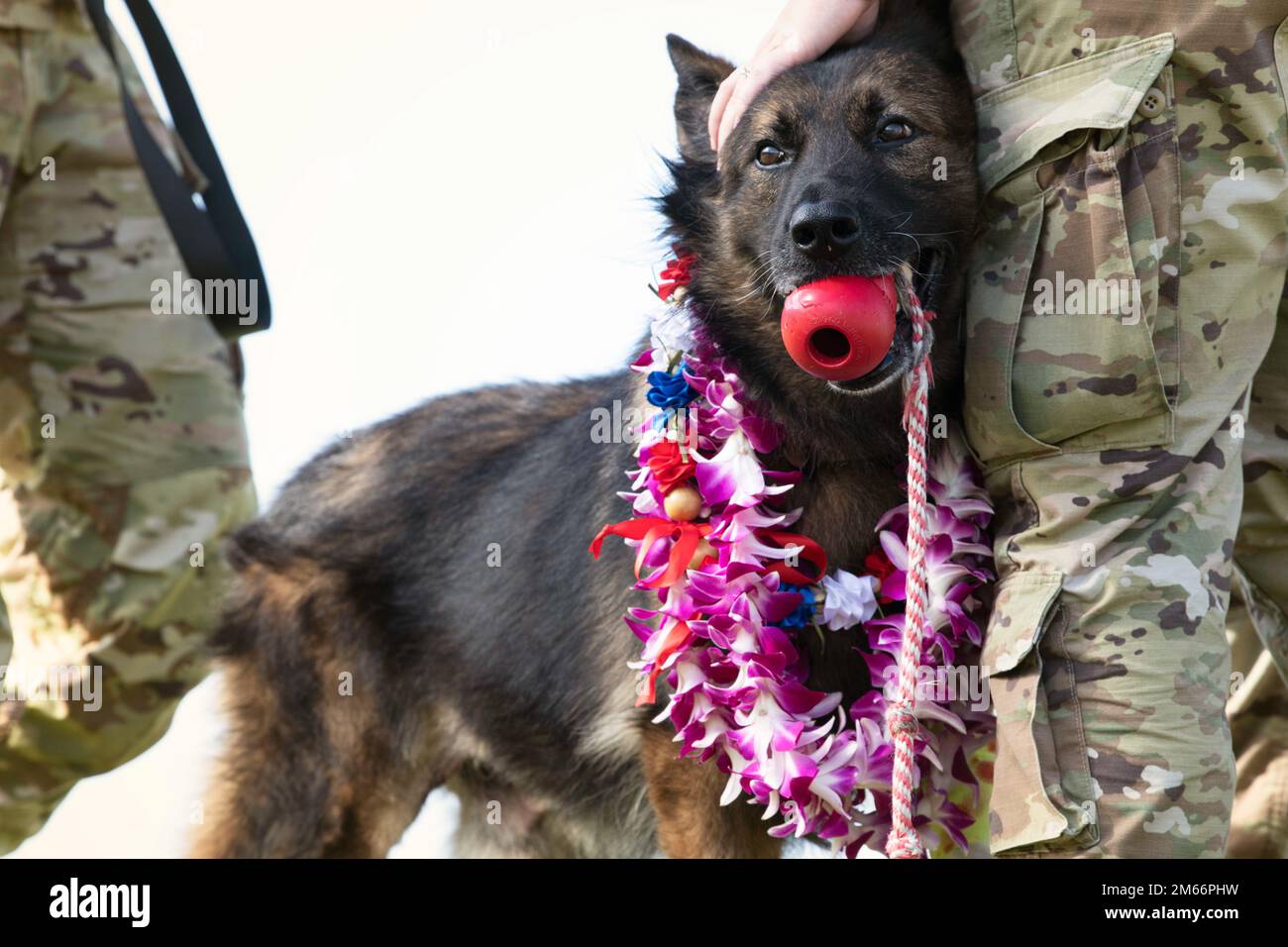 647th security forces squadron hi-res stock photography and images - Alamy