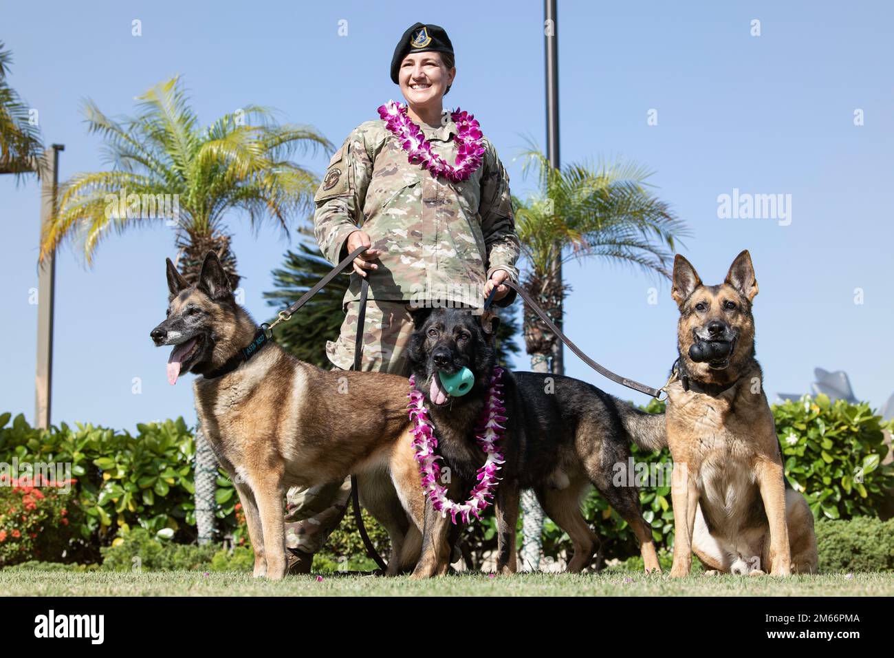 U.S. Air Force Tech. Sgt. Nicole Fralick, 647th Security Forces ...
