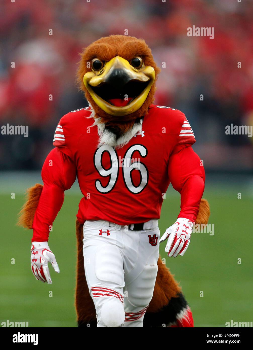 January 02, 2023. Utah Utes Mascot during the 2023 Rose Bowl game ...