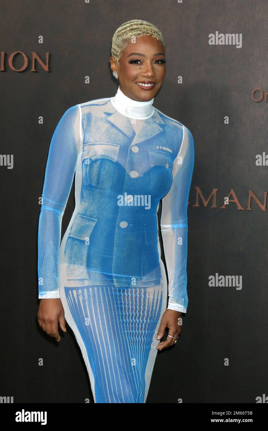 Emancipation Premiere at Village Theater on November 30, 2022 in ...