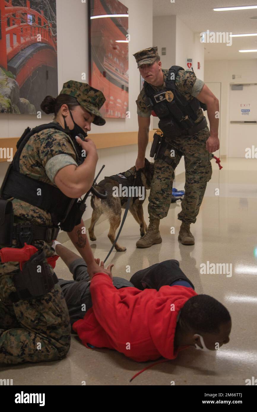 U.S. Marine Corps Cpl. Maria Busson and Cpl. Elijah Stoker, working dog ...