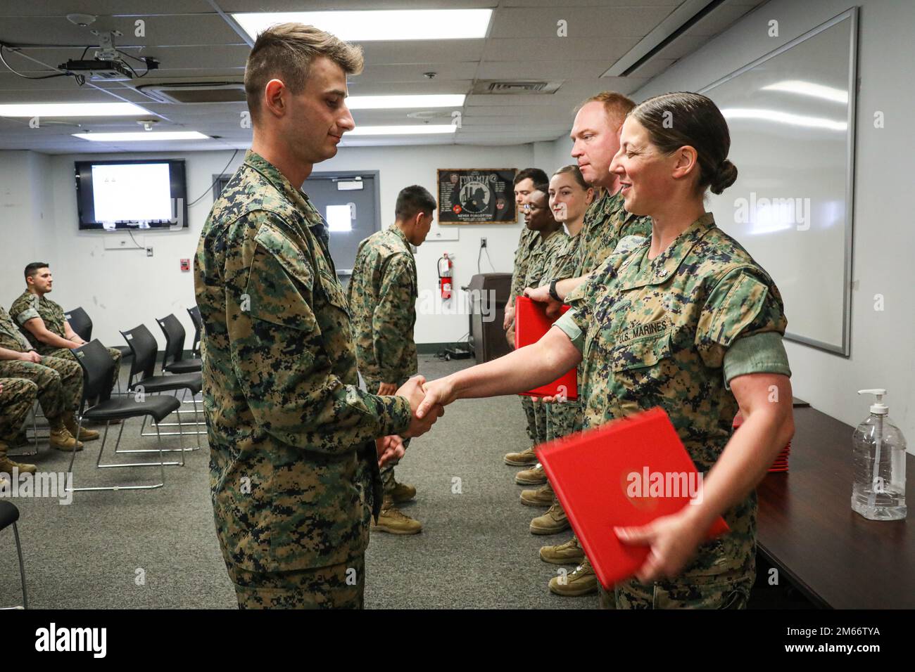 Indian mastery hi-res stock photography and images - Alamy