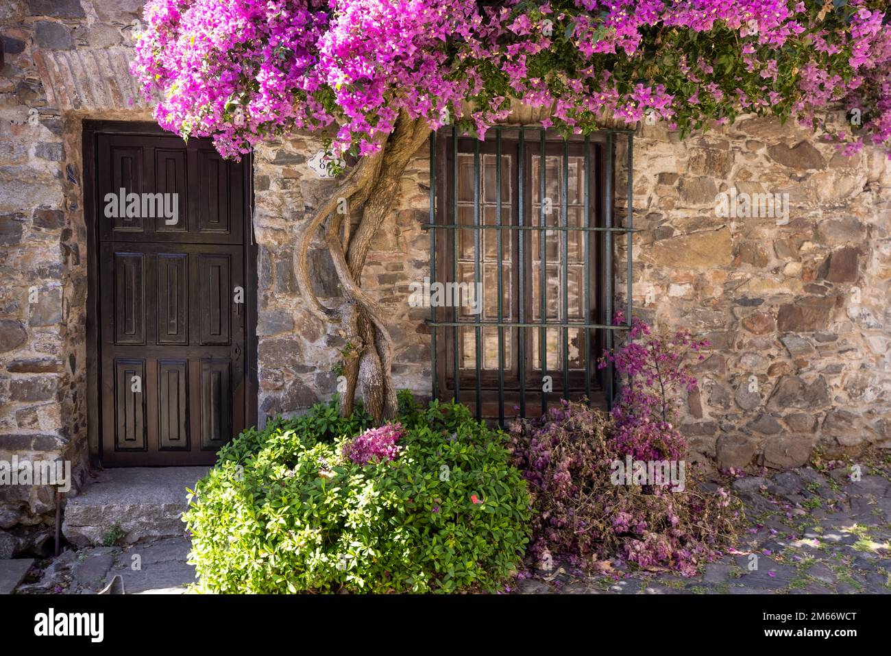 Barrio historico colonial architecture colonia hi-res stock photography ...