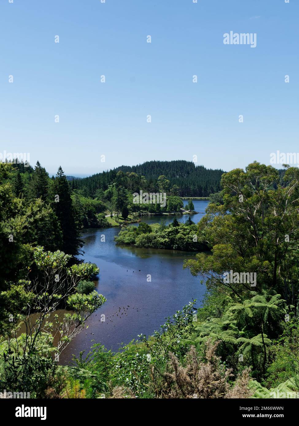 Lake Matakana, New Zealand Stock Photo - Alamy