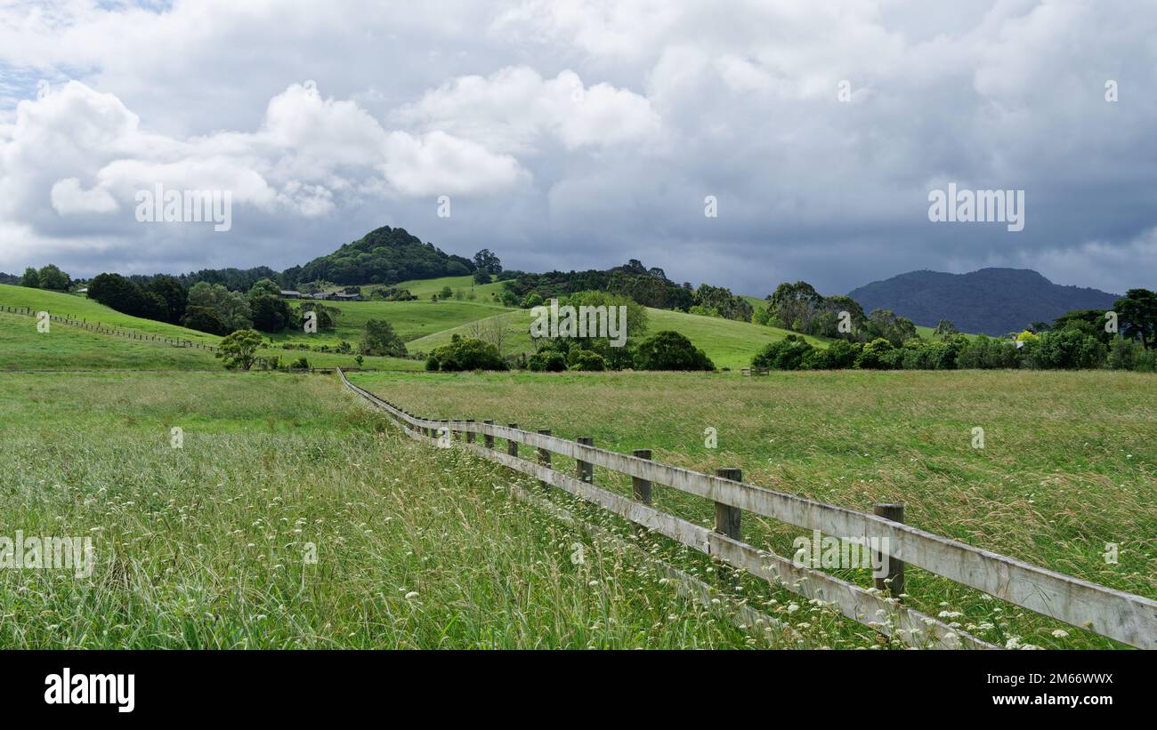 Matakana Country Park Fields Stock Photo - Alamy