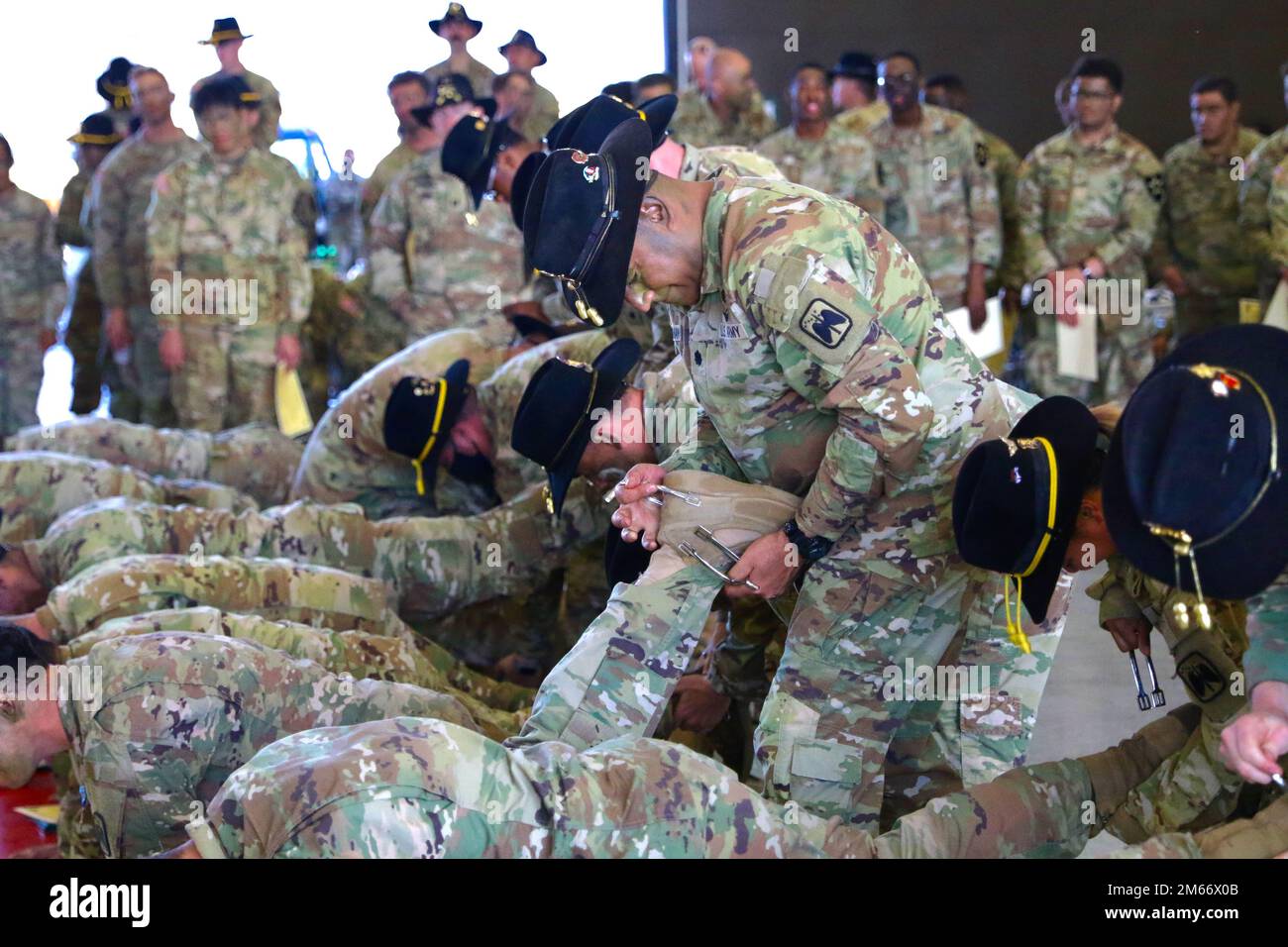 Spur 6 hi-res stock photography and images - Alamy