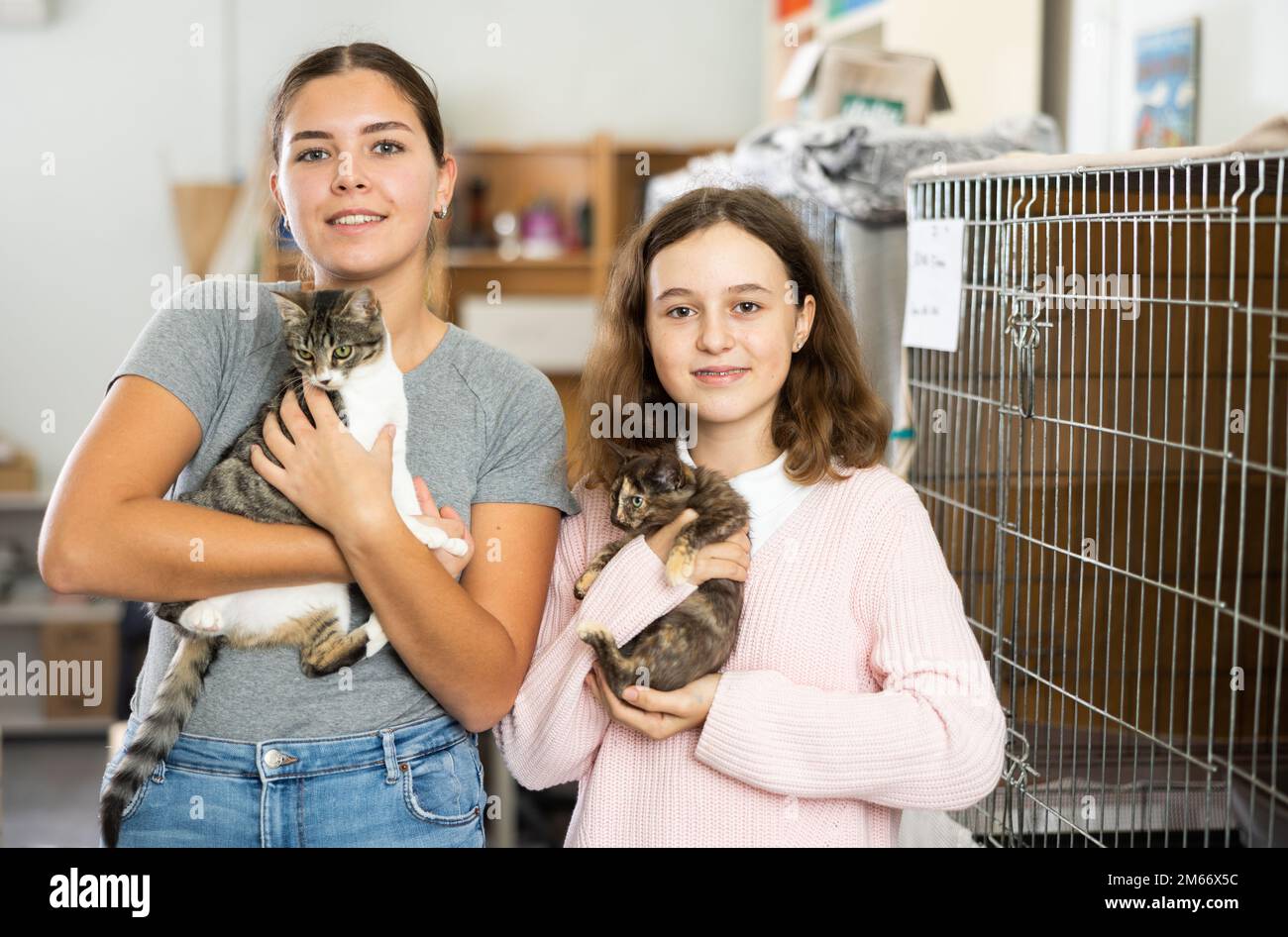 Tween girl with older sister holding adopted cats in animal shelter ...