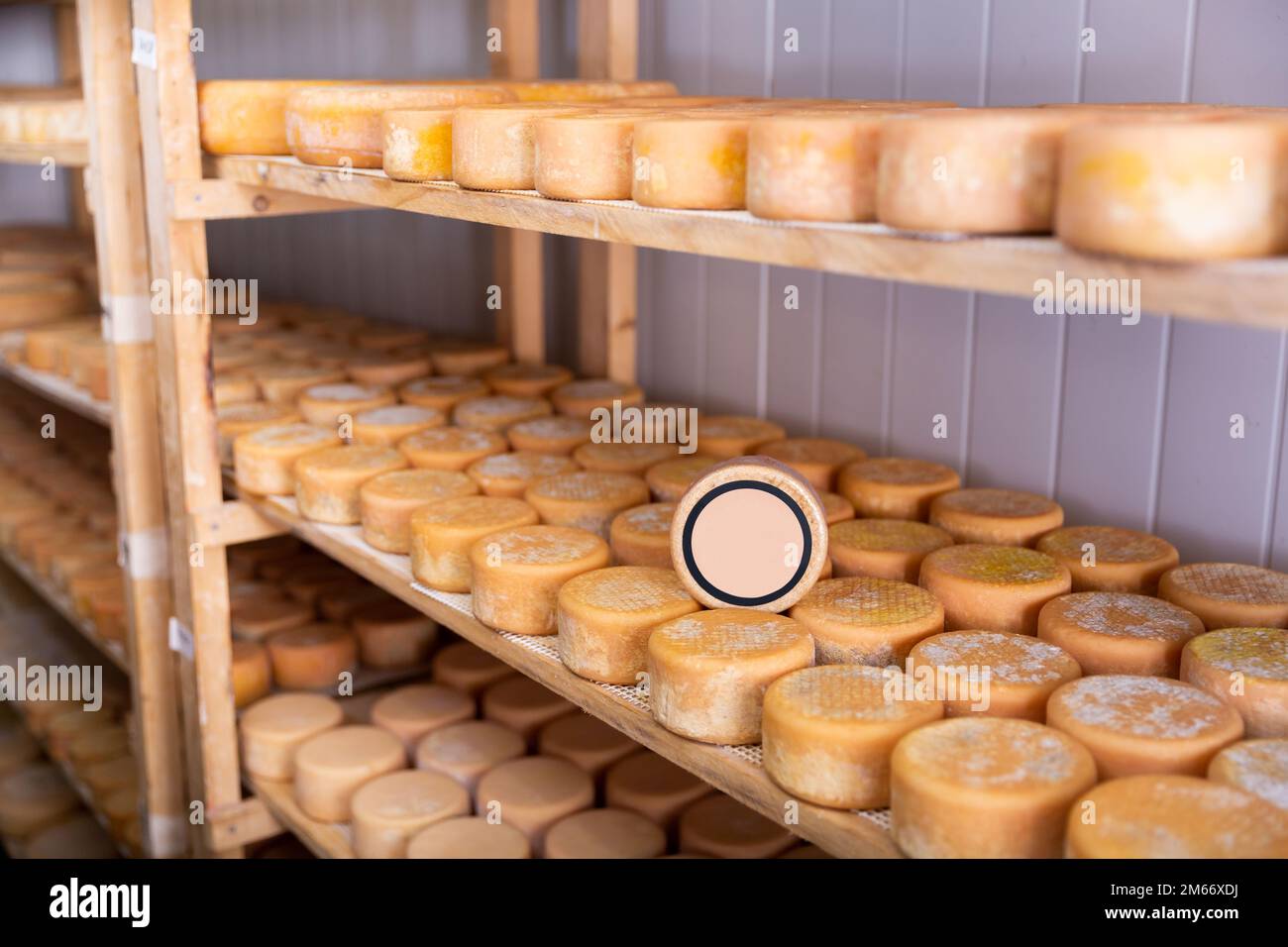 Head cheese on shelf in cheese dairy Stock Photo - Alamy