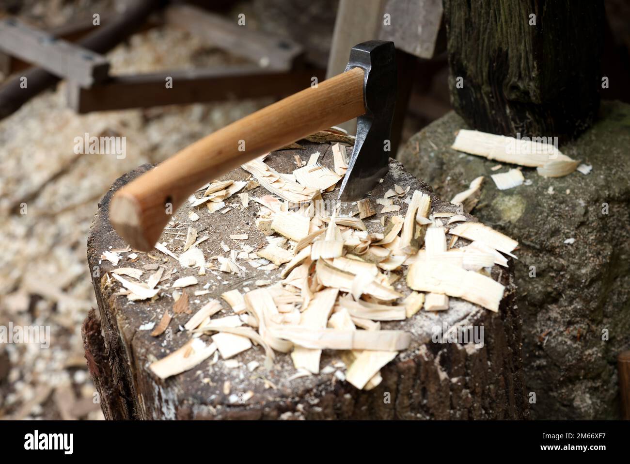 Historic Life Weekend event at the Weald and Downland Museum in ...