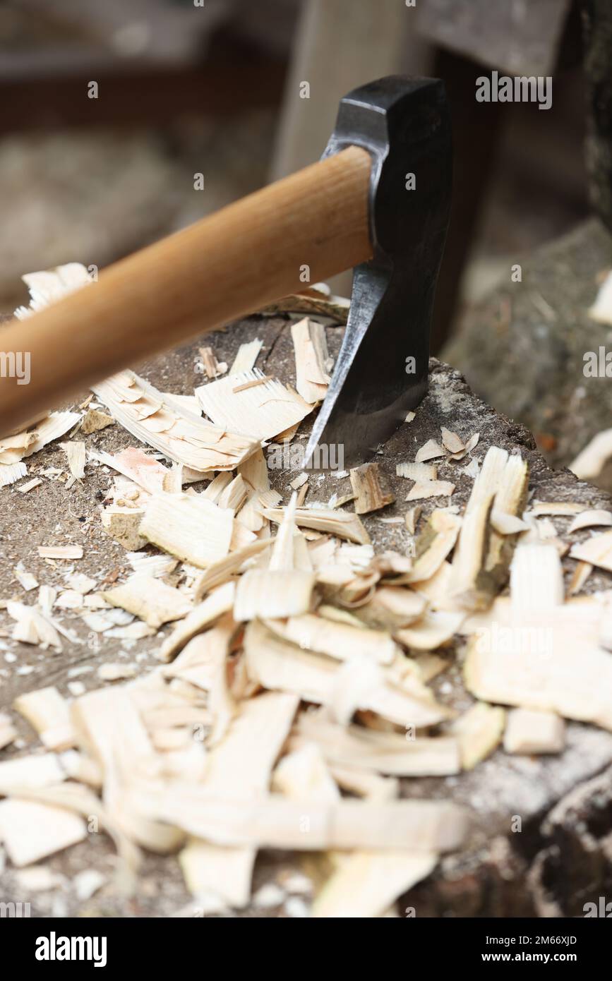 Historic Life Weekend event at the Weald and Downland Museum in ...