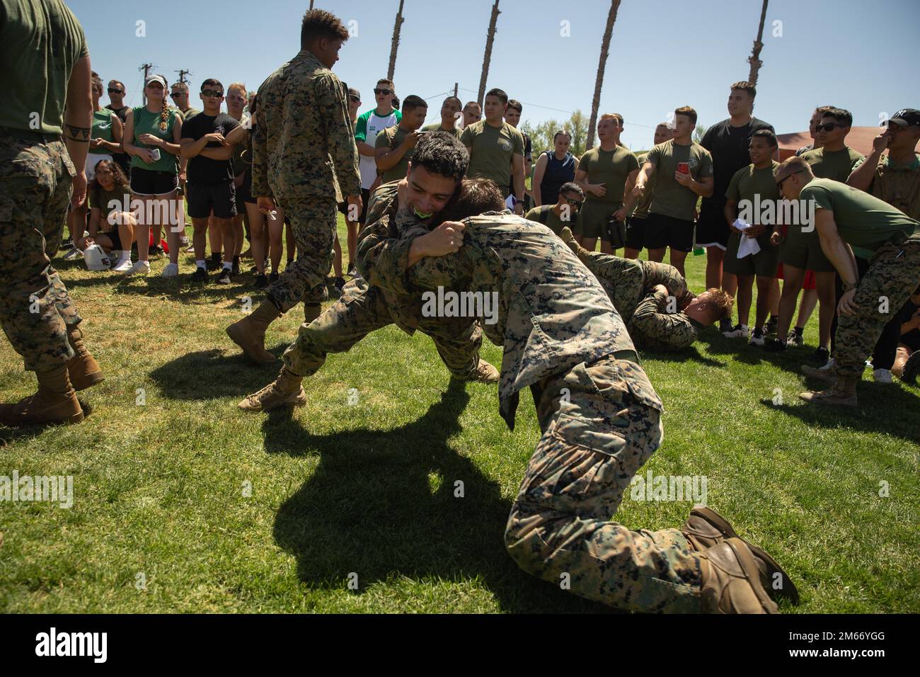 U.S. Marines and Sailors with Combat Logistics Regiment 17, 1st Marine ...