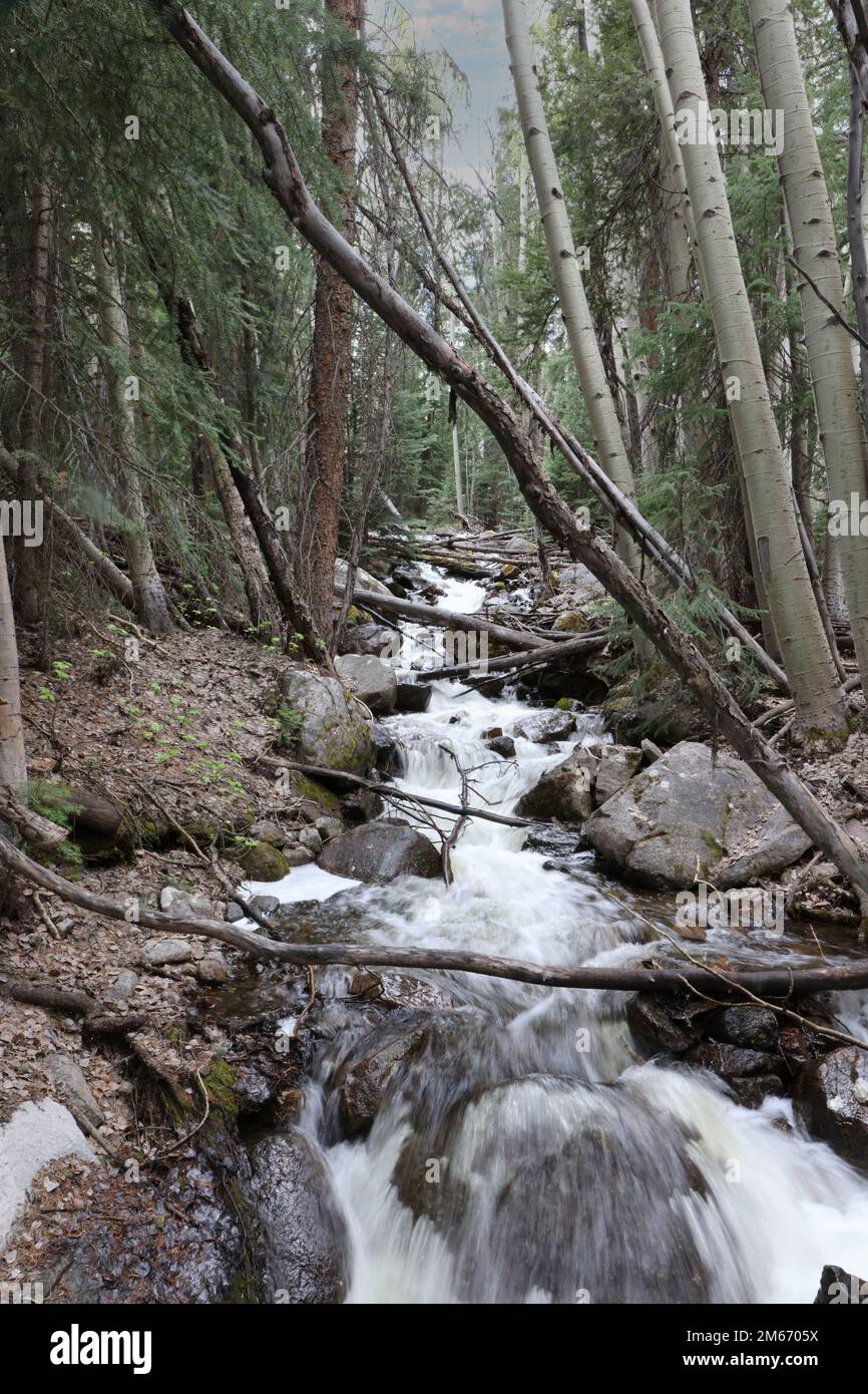 Weller lake trail hi-res stock photography and images - Alamy