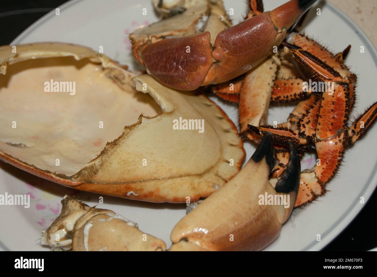 Sea food Ocean crab Stock Photo - Alamy