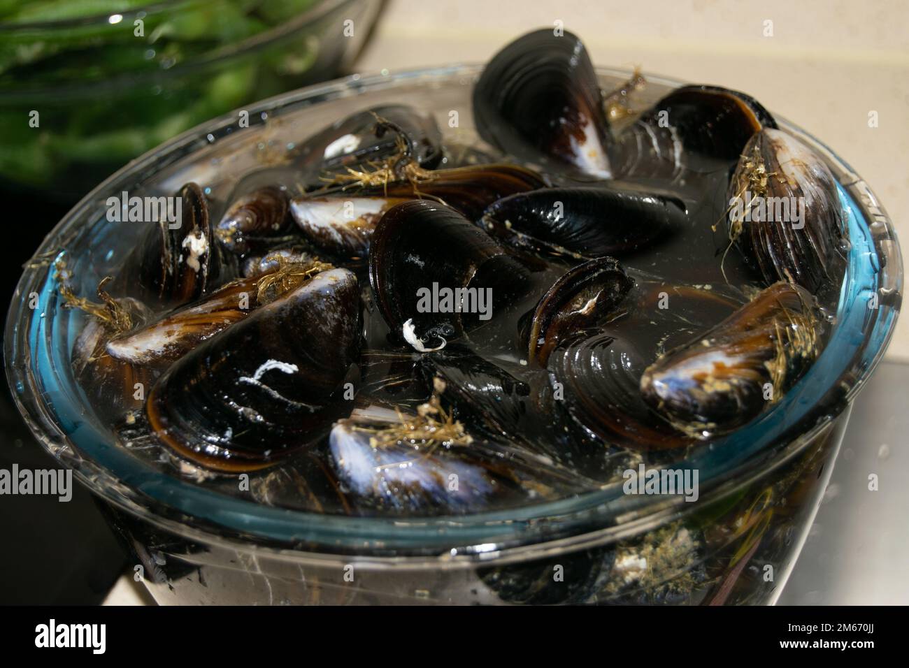 Event cooking, cooked mussel sea food . Bivalve molluscs. Mediterranean ...