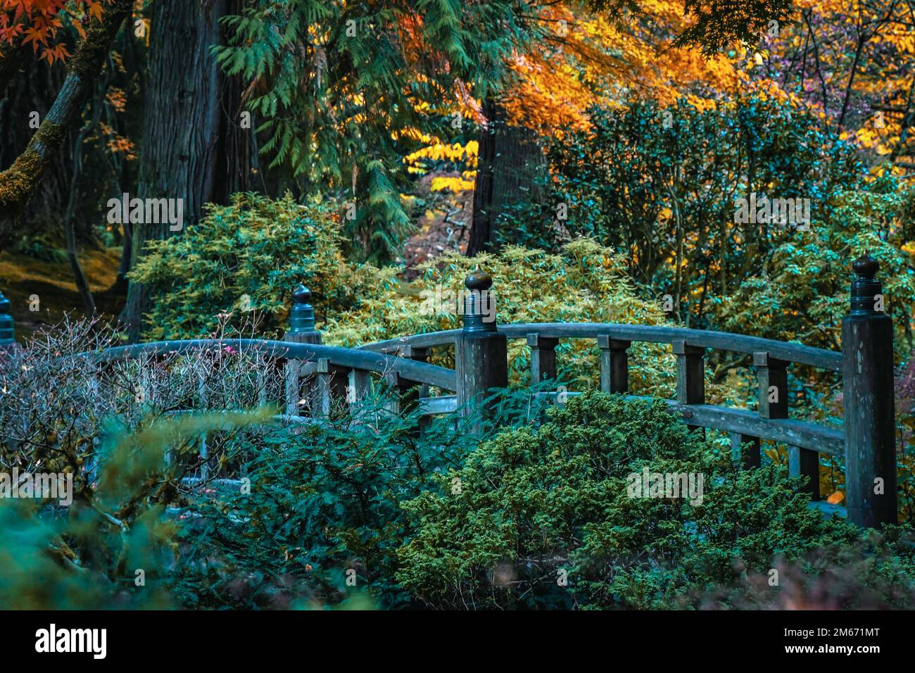 Portland Japanese Garden in Oregon Stock Photo - Alamy