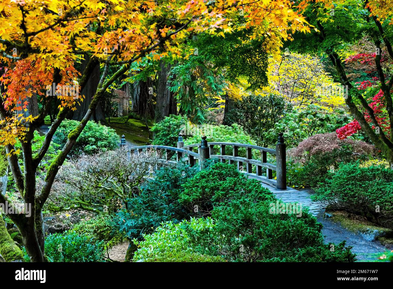 Portland Japanese Garden In Oregon Stock Photo Alamy
