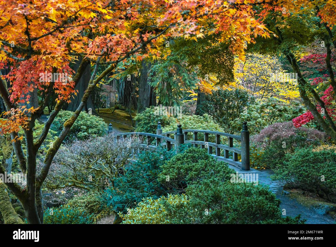 Portland Japanese Garden in Oregon Stock Photo - Alamy