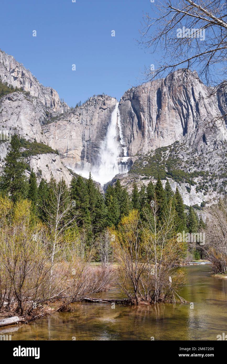 Yosemite Valley with Yosemite Falls in the background. Yosemite ...