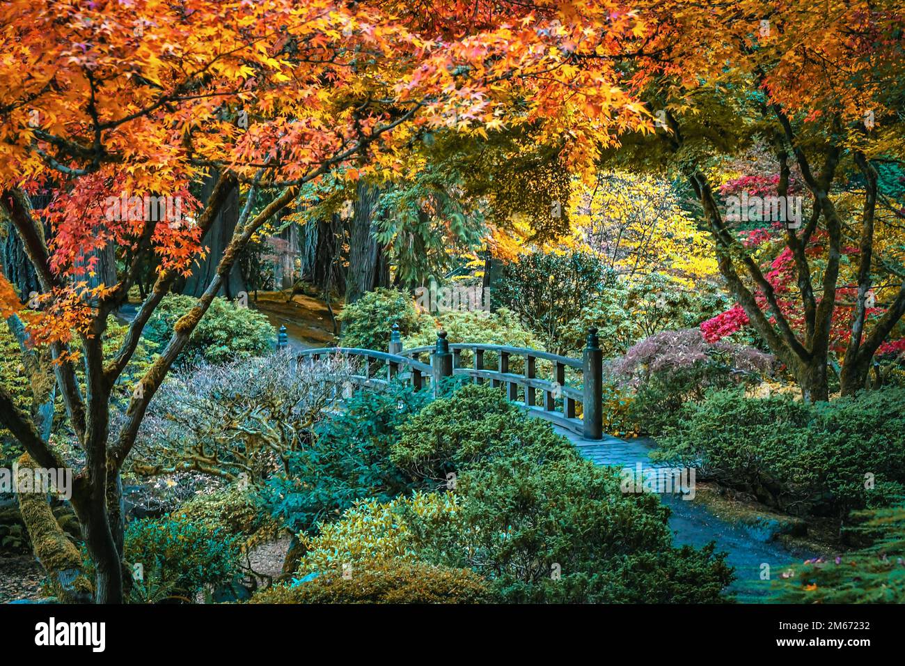Portland japanese gardens hi-res stock photography and images - Alamy