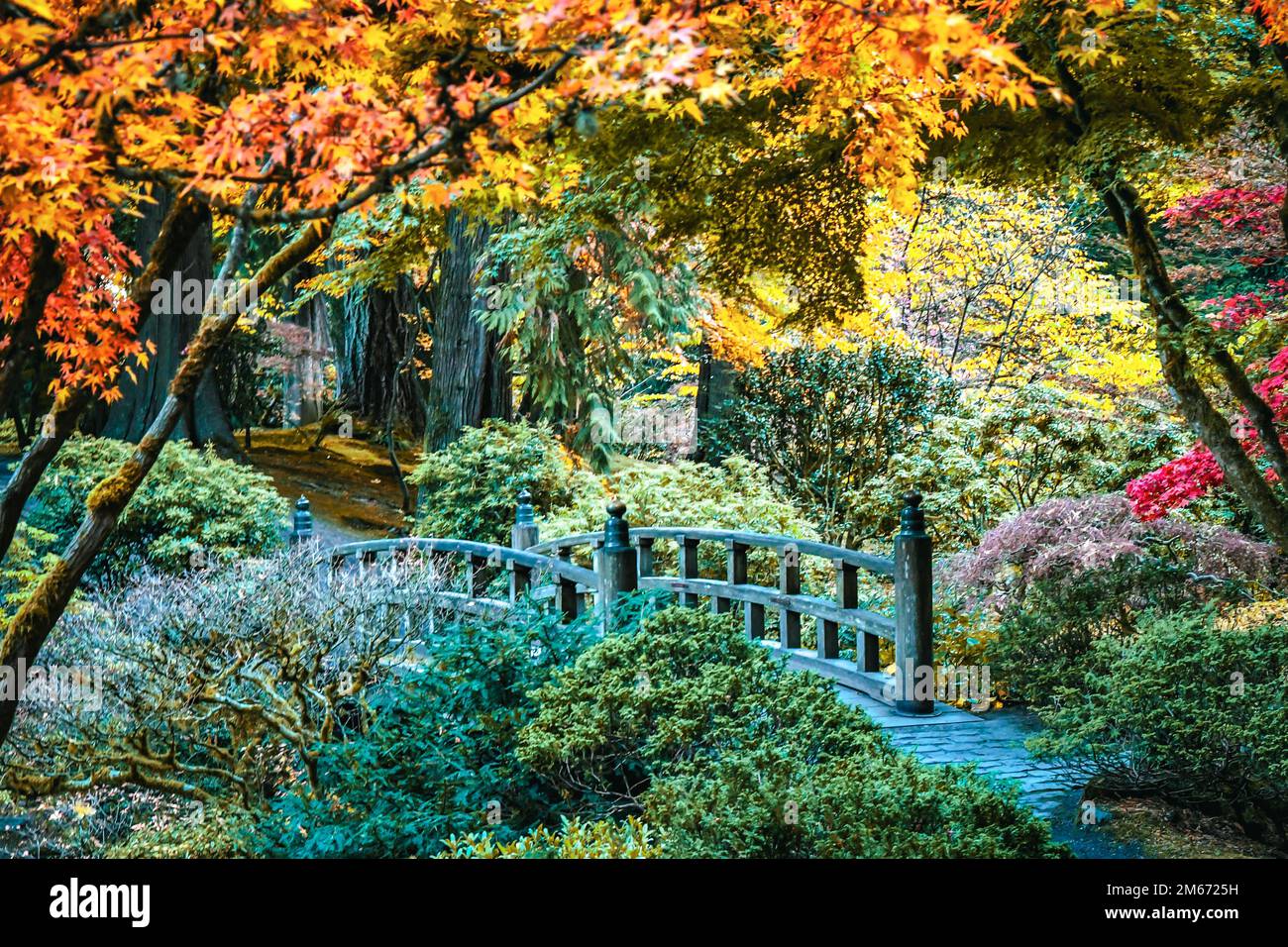 Portland Japanese Garden in Oregon Stock Photo - Alamy