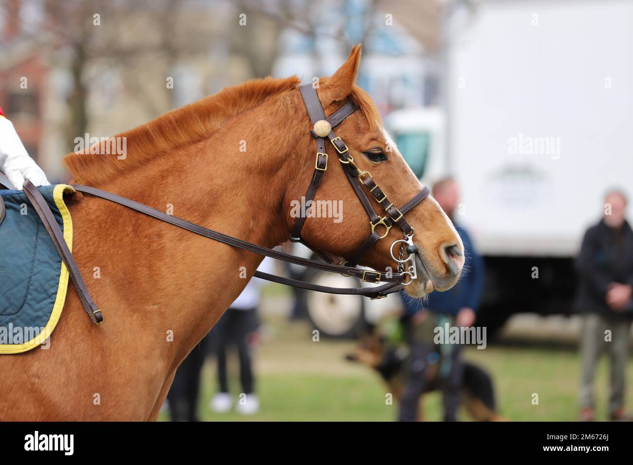 SALEM, Mass. -- The National Lancers march during the pass and review ...