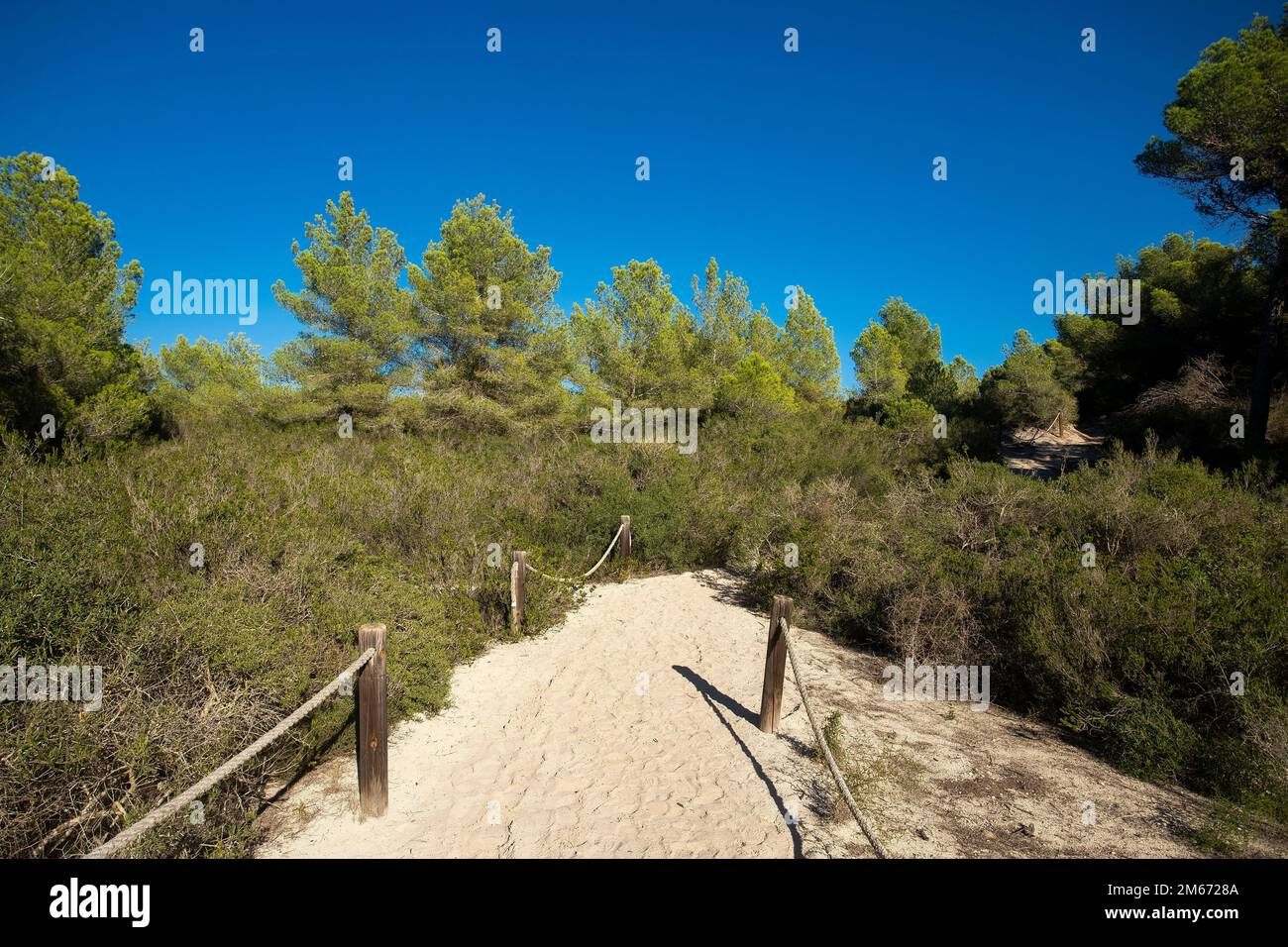 Punta de amer hi-res stock photography and images - Alamy