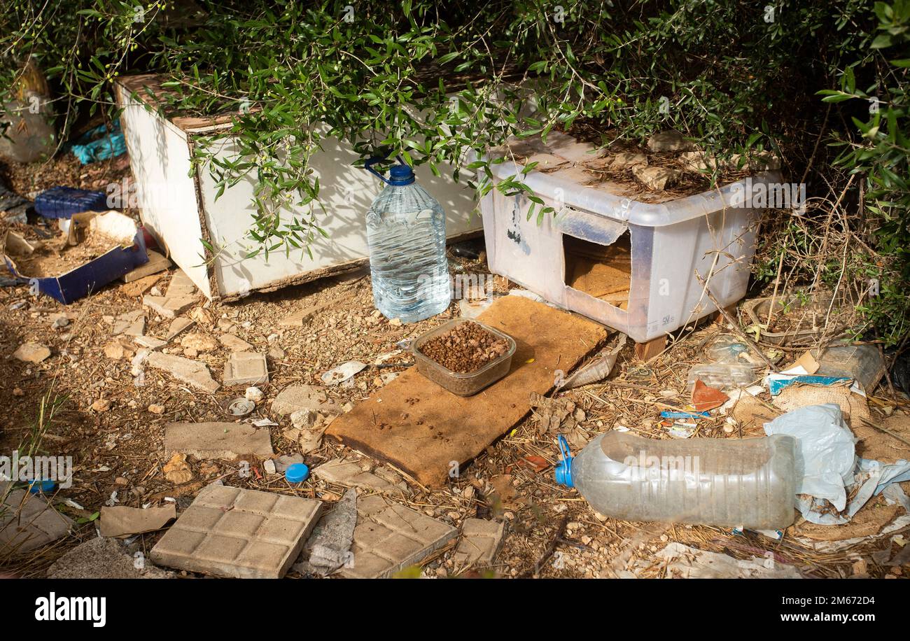 Stray cat shelter - Makeshift home made by people Stock Photo - Alamy