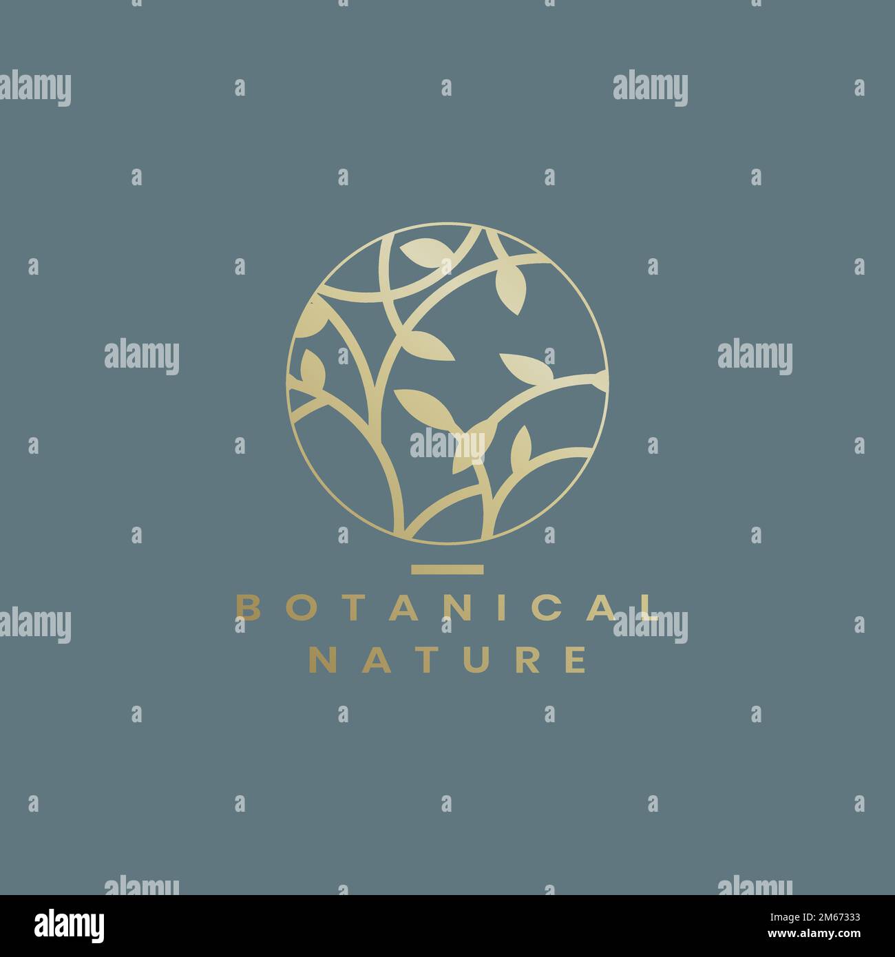Botanical nature circle badge vector Stock Vector Image & Art - Alamy