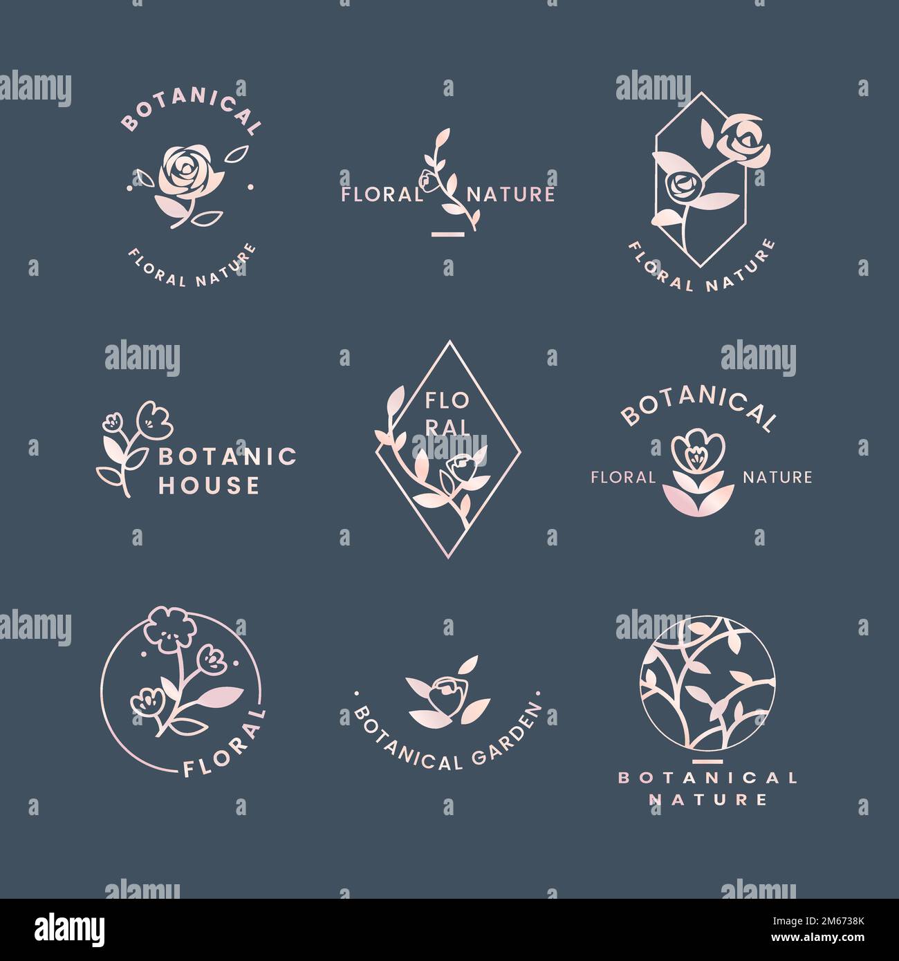 Botanical floral rose badges vector set Stock Vector Image & Art - Alamy