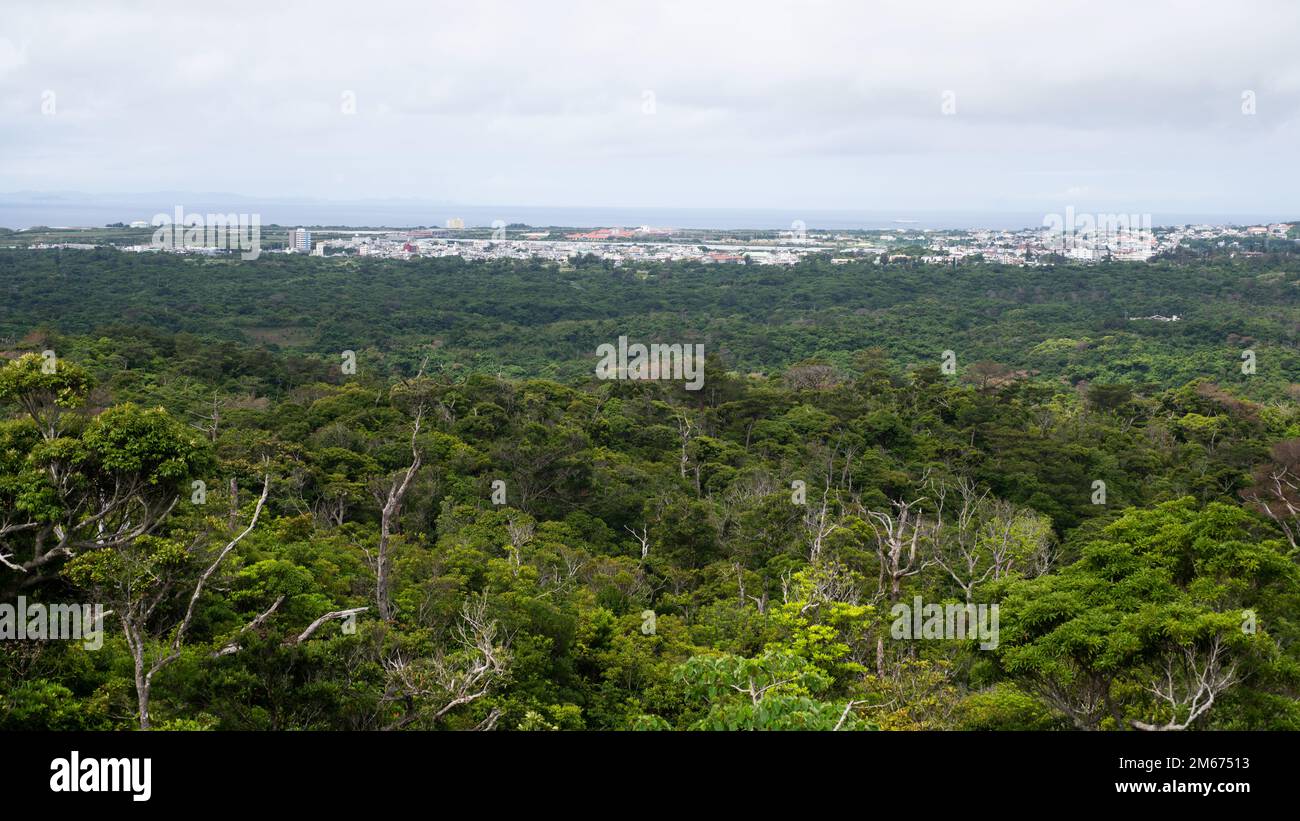 The 18th Munitions Squadron munitions storage area, spans an estimated ...